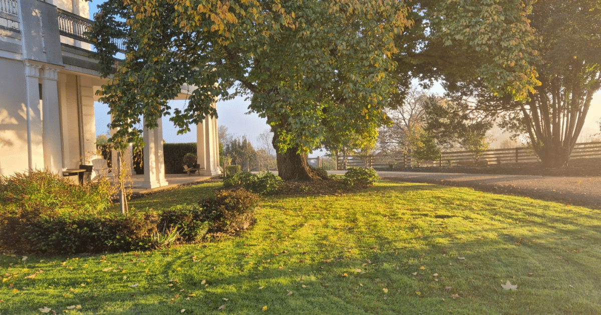 Autumn at Calstock Estate: The Most Beautiful Season to Celebrate in ...